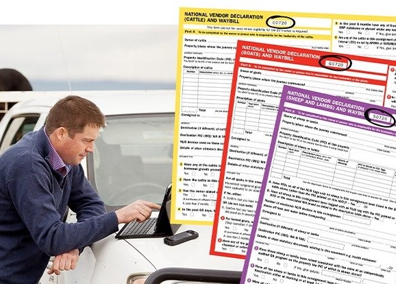 What you need to know about the new NVDs - Australian Dorper & White ...